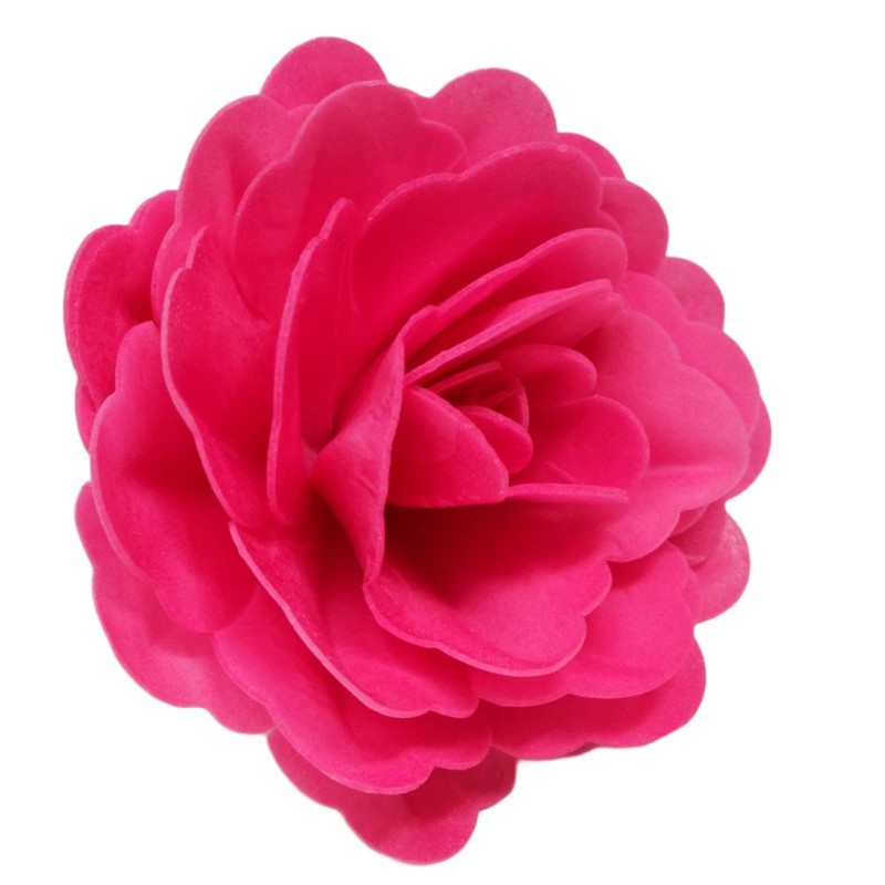 Rosa sfumata fucsia 12,5 cm fiore in cialda